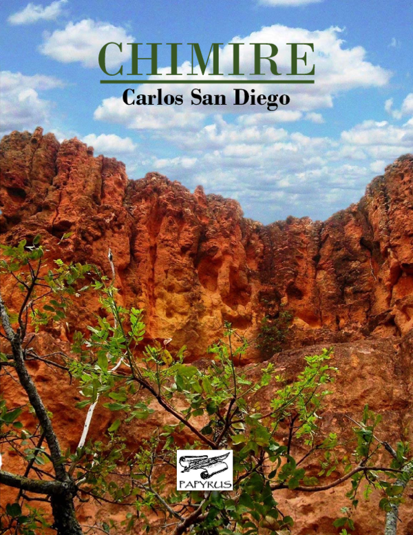 (PDF) CHIMIRE CARLOS SAN DIEGO VERSION DEFINITIVA 2025