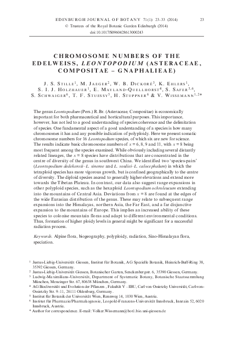 (PDF) Chromosome Numbers of the Edelweiss, Leontopodium (Asteraceae ...