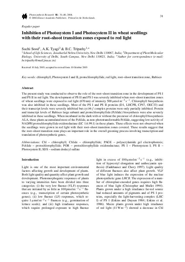(PDF) Inhibition of Photosystem I and Photosystem II in Wheat Seedlings ...