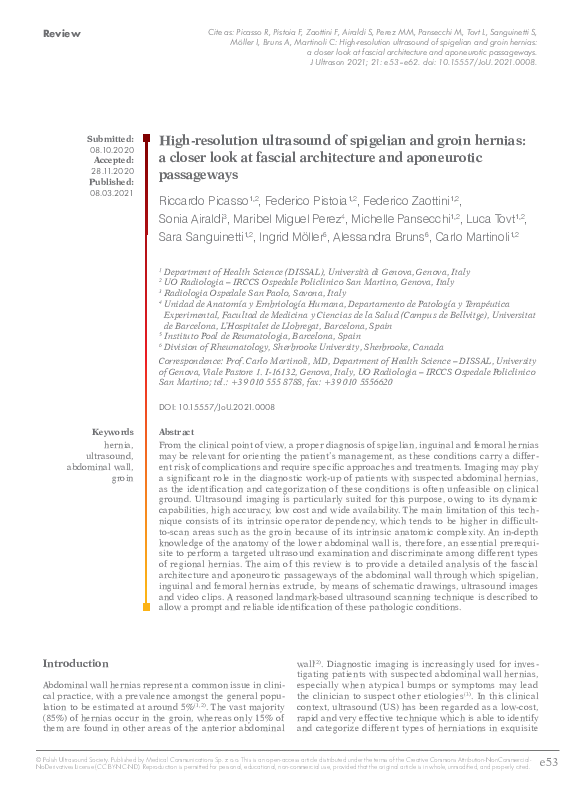 (PDF) High-resolution ultrasound of spigelian and groin hernias: a ...
