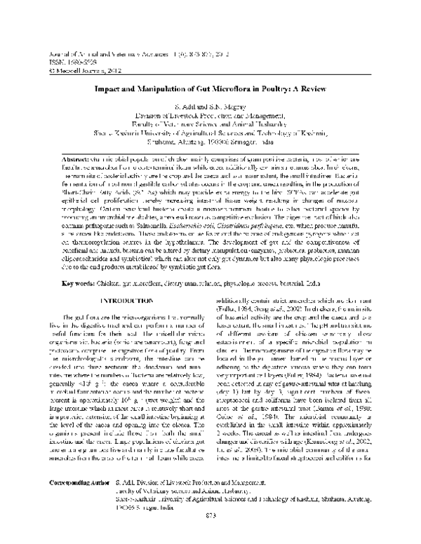 (PDF) Impact and Manipulation of Gut Microflora in Poultry: A Review