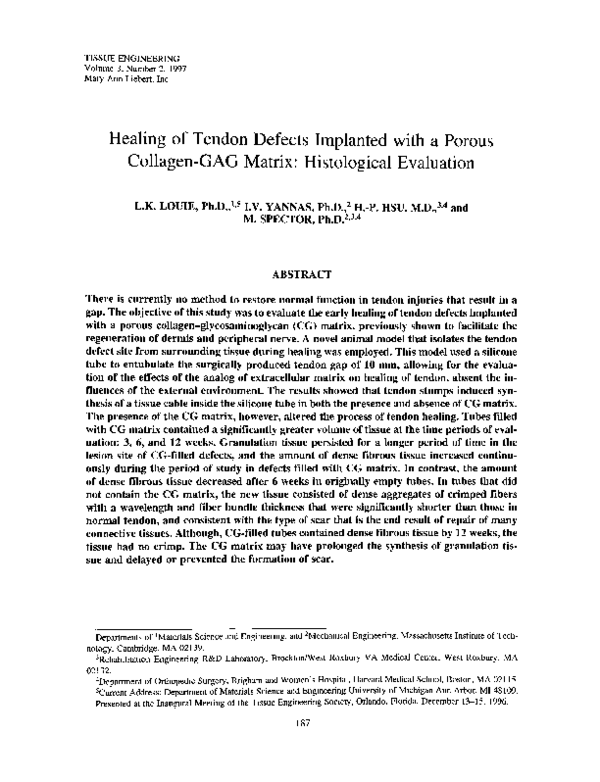 (PDF) Healing of Tendon Defects Implanted with a Porous Collagen-GAG ...