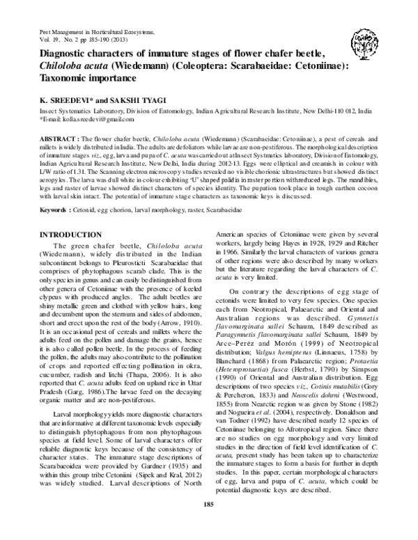 (PDF) Diagnostic characters of immature stages of flower chafer beetle ...
