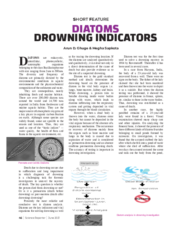 (PDF) Diatoms – Drowning Indicators