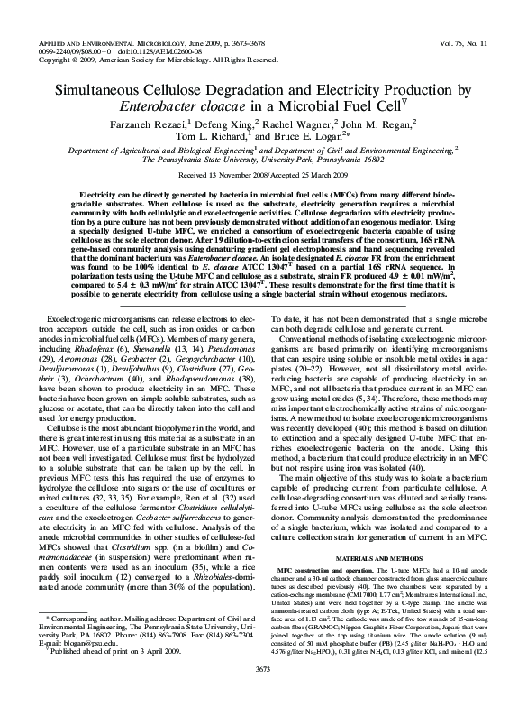 (PDF) Simultaneous Cellulose Degradation and Electricity Production by ...