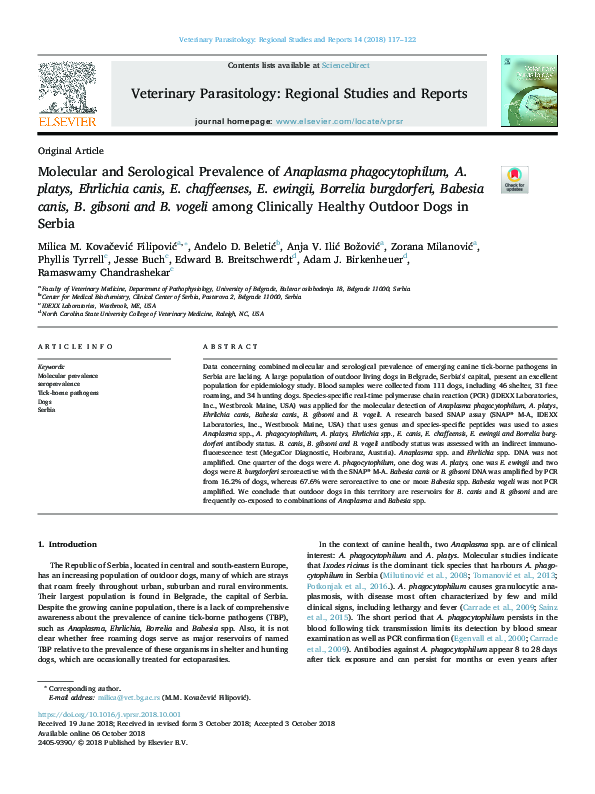 (PDF) Molecular and Serological Prevalence of Anaplasma phagocytophilum ...