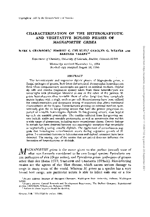 (PDF) Characterization of the Heterokaryotic and Vegetative Diploid ...