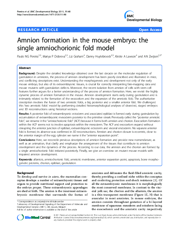 (PDF) Amnion formation in the mouse embryo: the single amniochorionic ...