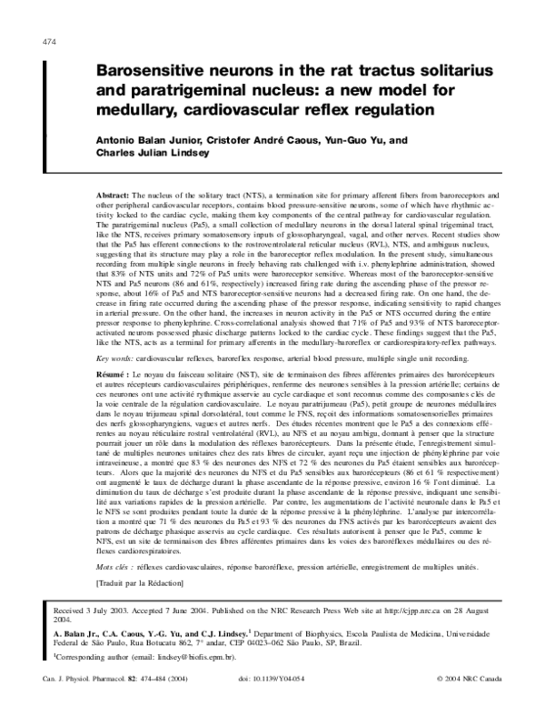 (PDF) Barosensitive neurons in the rat tractus solitarius and ...