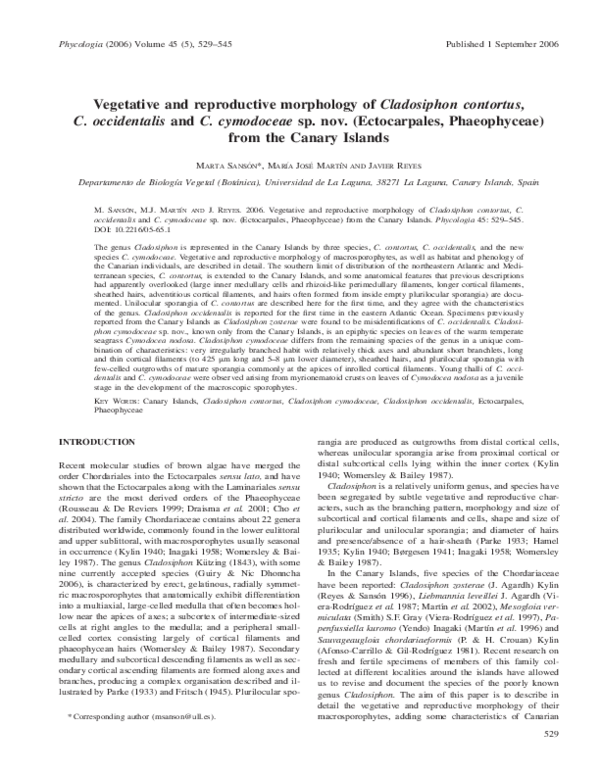 (PDF) Vegetative and reproductive morphology ofCladosiphon contortus,C. occidentalisandC ...
