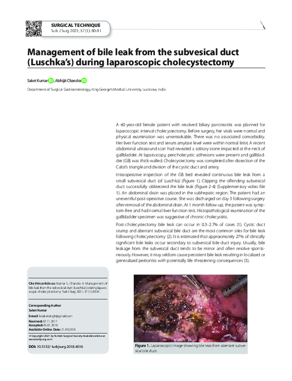 (PDF) Management of bile leak from subvesical duct (duct of Luschka ...