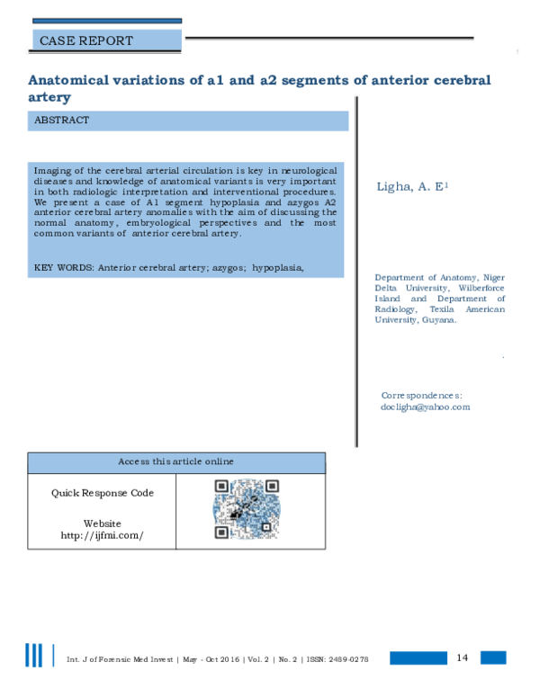 (PDF) Anatomical variations of A1 and A2 segments of anterior cerebral ...