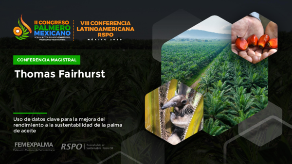 (PDF) Thomas fairhurst uso de datos clave para la mejora del ...