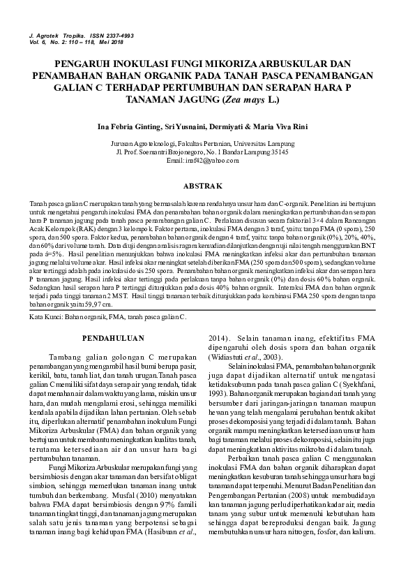 (PDF) PENGARUH INOKULASI FUNGI MIKORIZA ARBUSKULAR DAN PENAMBAHAN BAHAN ORGANIK PADA TANAH PASCA ...