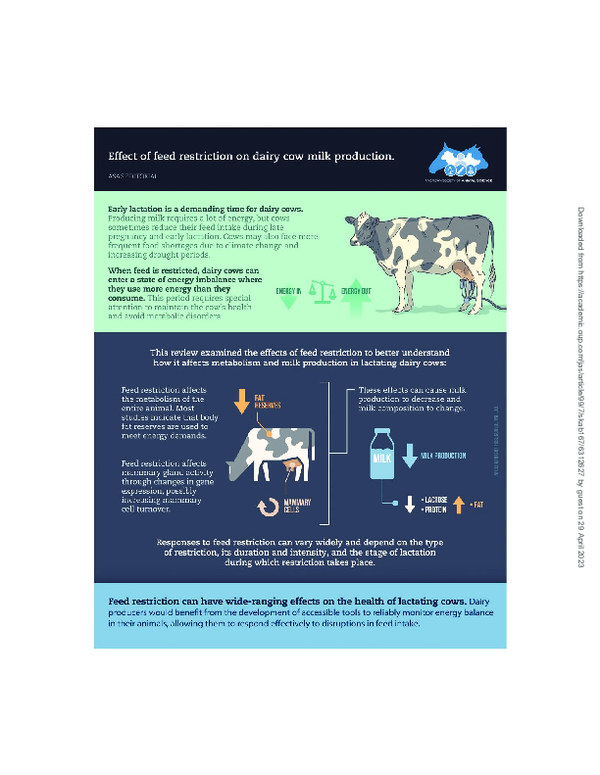 (PDF) Effect of feed restriction on dairy cow milk production