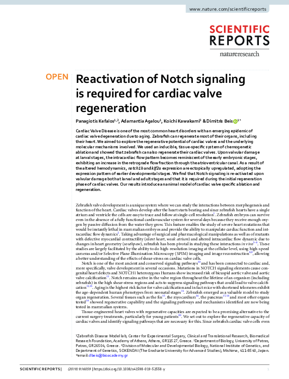 (PDF) Notch signaling in cardiac valve development and disease
