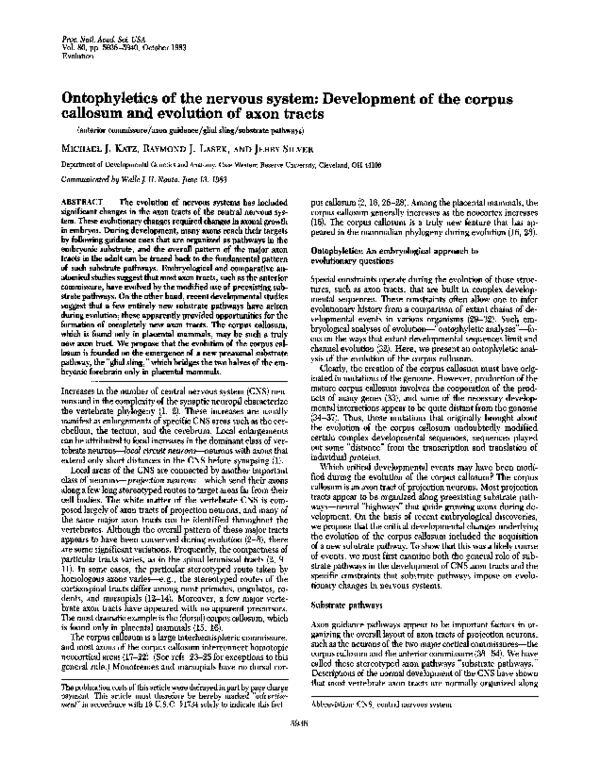 (PDF) Ontophyletics of the nervous system: development of the corpus ...