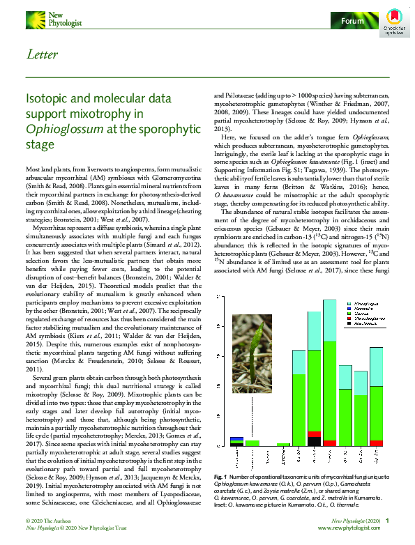 (PDF) Isotopic and molecular data support mixotrophy in Ophioglossum at ...