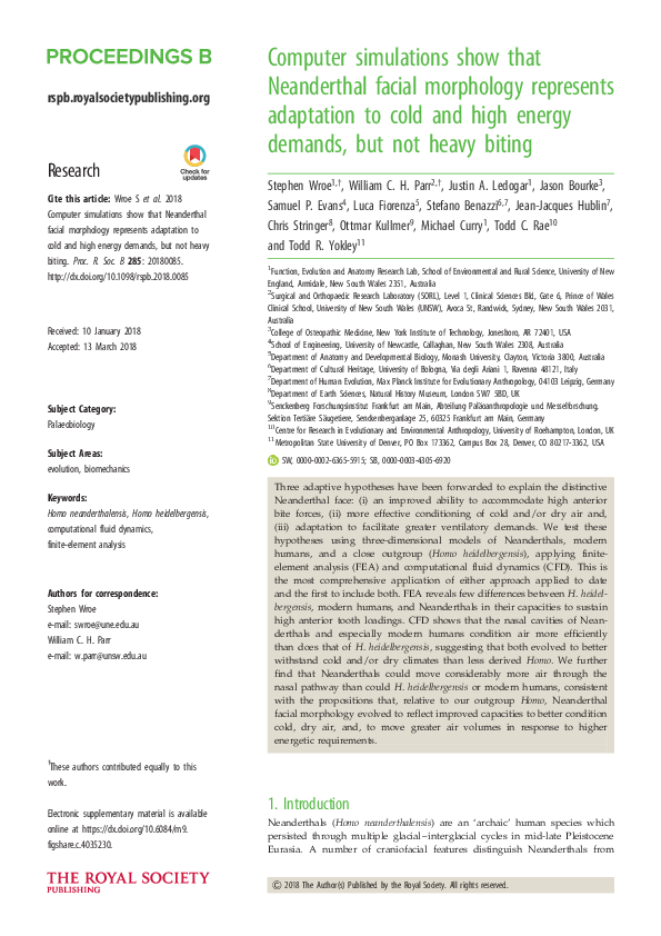 (PDF) Computer simulations show that Neanderthal facial morphology ...