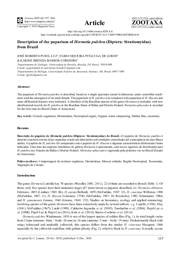 (PDF) Description of the puparium of Hermetia pulchra (Diptera ...