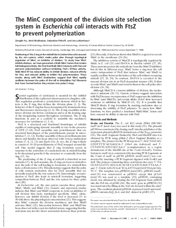 (PDF) The MinC component of the division site selection system in ...