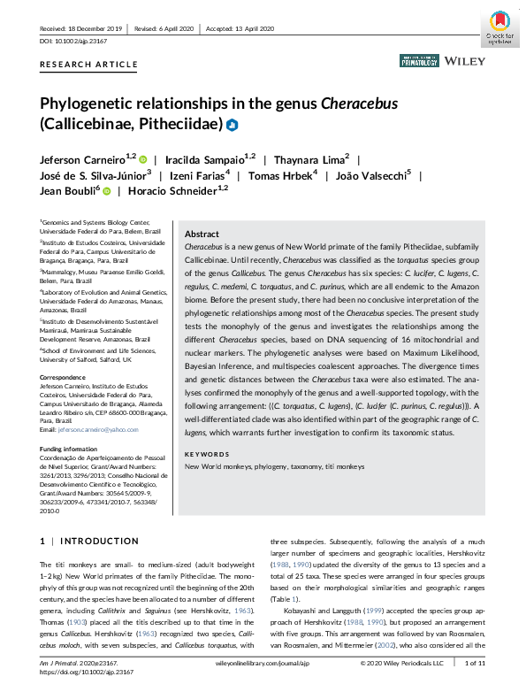 (PDF) Phylogenetic relationships in the genus Cheracebus (Callicebinae ...
