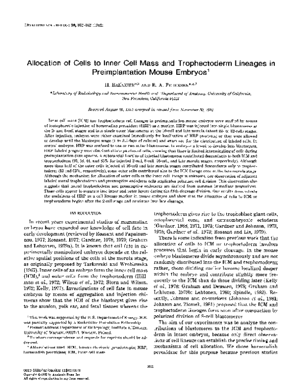 (PDF) Allocation of cells to inner cell mass and trophectoderm lineages ...