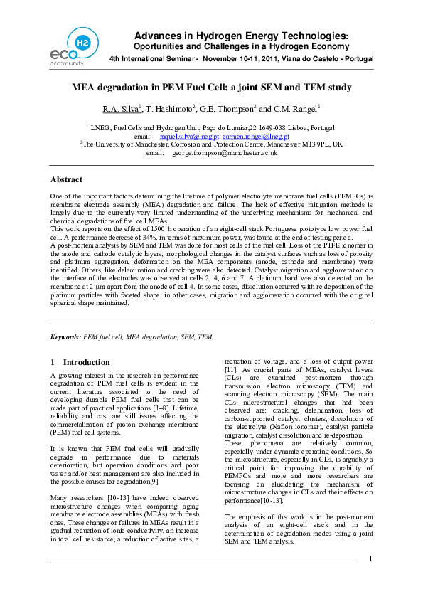 (PDF) MEA degradation in PEM Fuel Cell : a joint SEM and TEM study