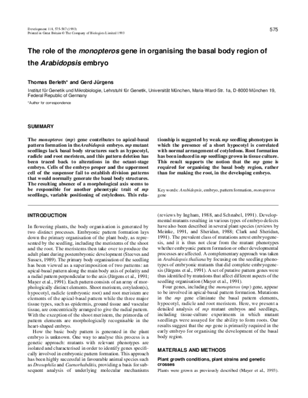 (PDF) The role of the monopteros gene in organising the basal body ...