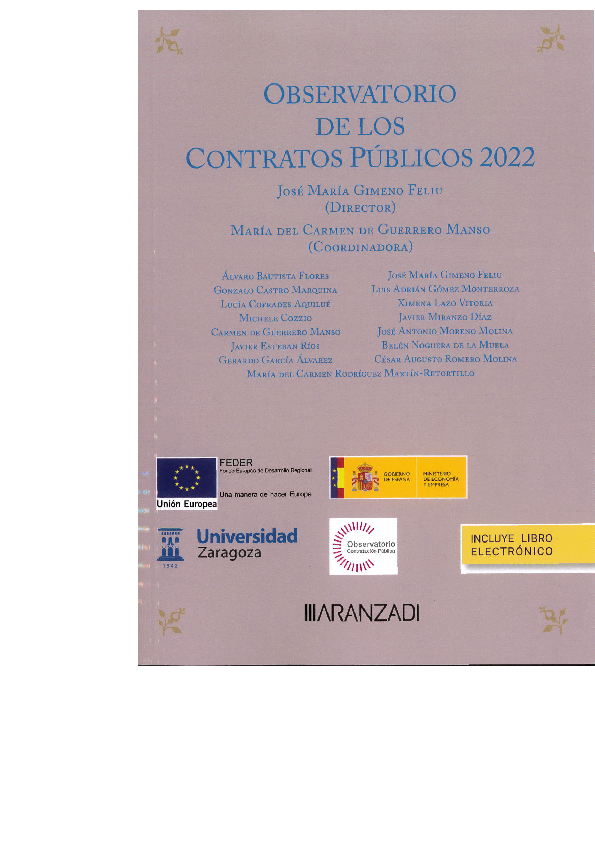 (PDF) Algunos aspectos controvertidos del Instrumento de Contratación ...