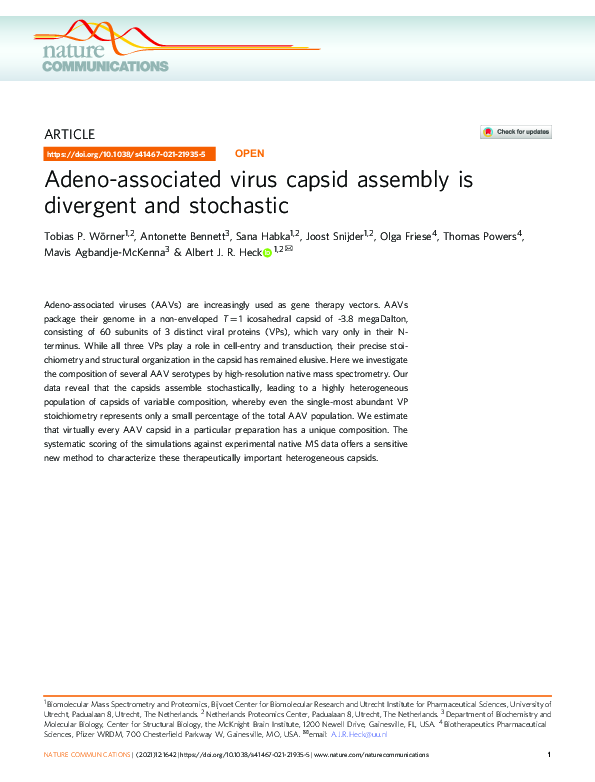 (PDF) Adeno-associated virus capsid assembly is divergent and stochastic