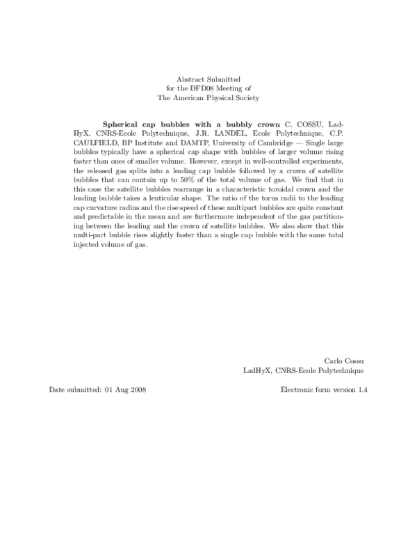 (PDF) Spherical cap bubbles with a bubbly crown