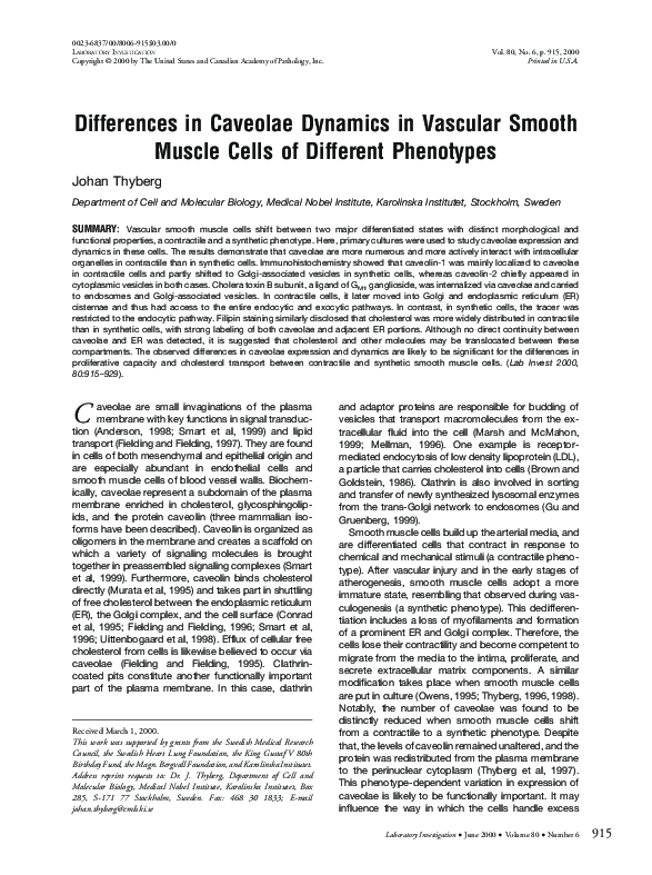 (PDF) Differences in Caveolae Dynamics in Vascular Smooth Muscle Cells ...