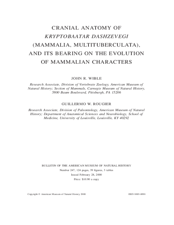 (PDF) Cranial Anatomy of Kryptobaatar Dashzevegi (Mammalia ...