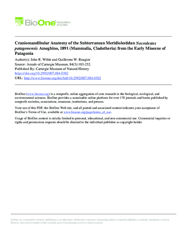 (PDF) Craniomandibular Anatomy of the Subterranean Meridiolestidan ...
