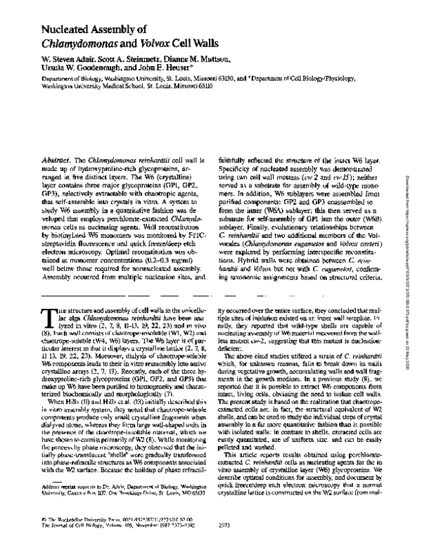 (PDF) Nucleated assembly of Chlamydomonas and Volvox cell walls