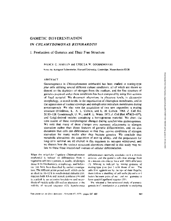 (PDF) Gametic differentiation in Chlamydomonas reinhardtii. I ...