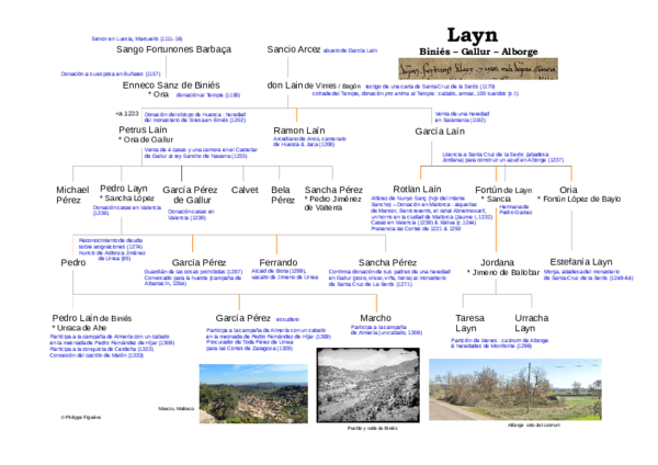 (PDF) LAYN