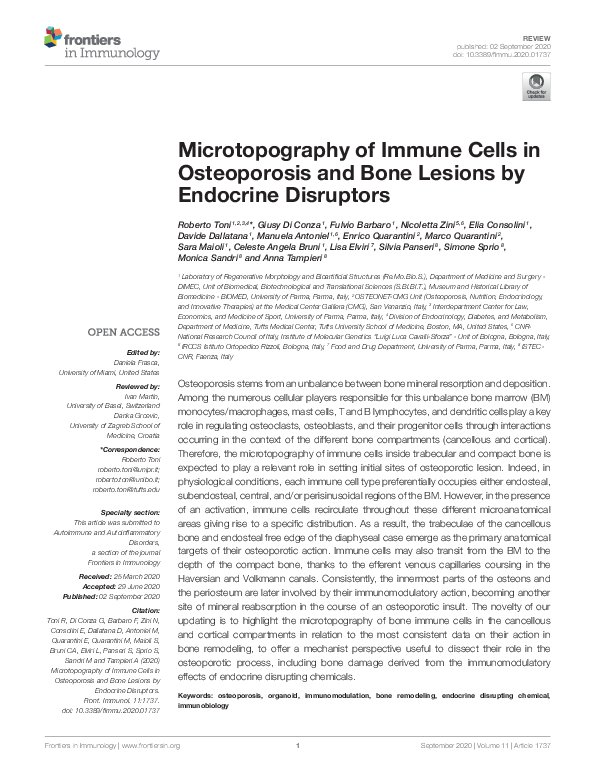 (PDF) Microtopography of Immune Cells in Osteoporosis and Bone Lesions ...