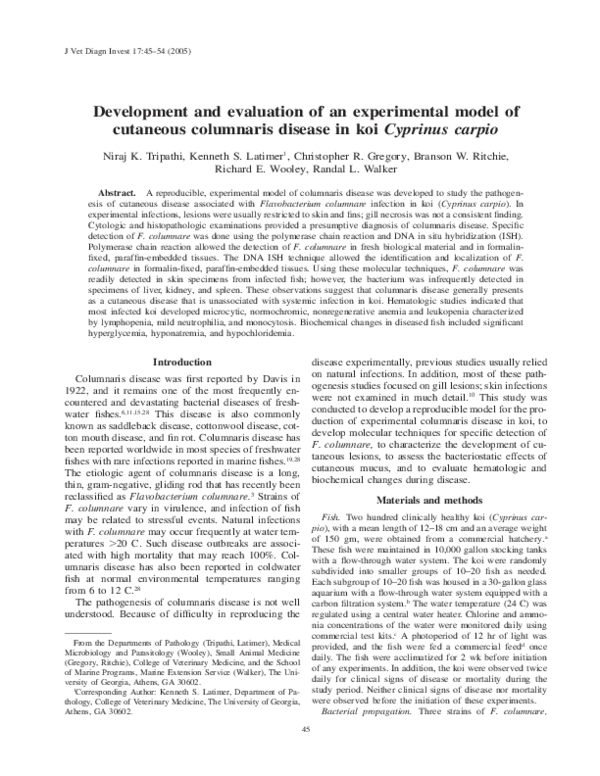 (PDF) Development and Evaluation of an Experimental Model of Cutaneous ...