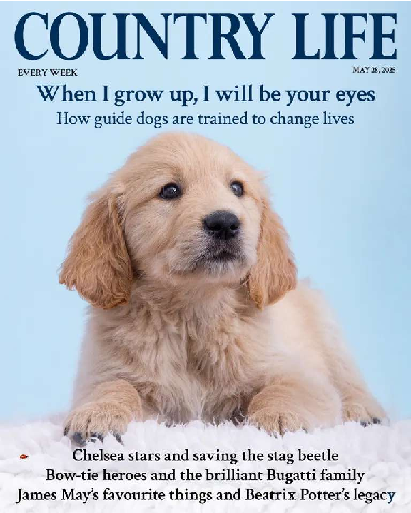 (PDF) Book Review: Helen Carr, ‘Sceptred Isle: A New History of the ...