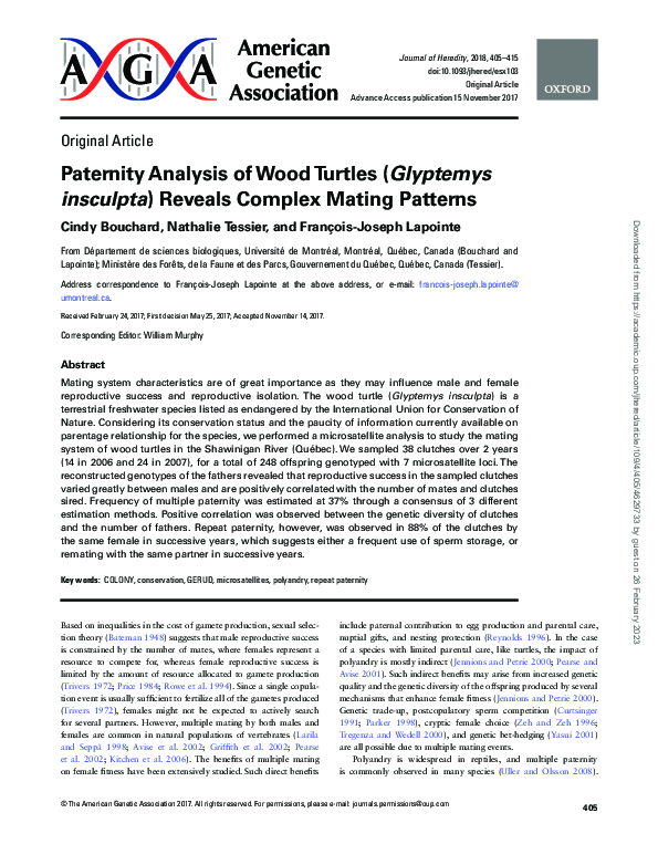 (PDF) Paternity Analysis of Wood Turtles (Glyptemys insculpta) Reveals ...