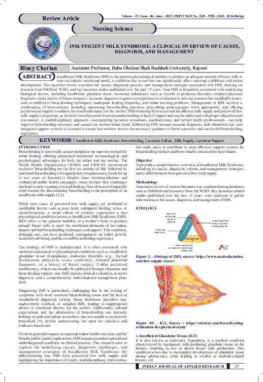 (PDF) INSUFFICIENT MILK SYNDROME: A CLINICAL OVERVIEW OF CAUSES ...
