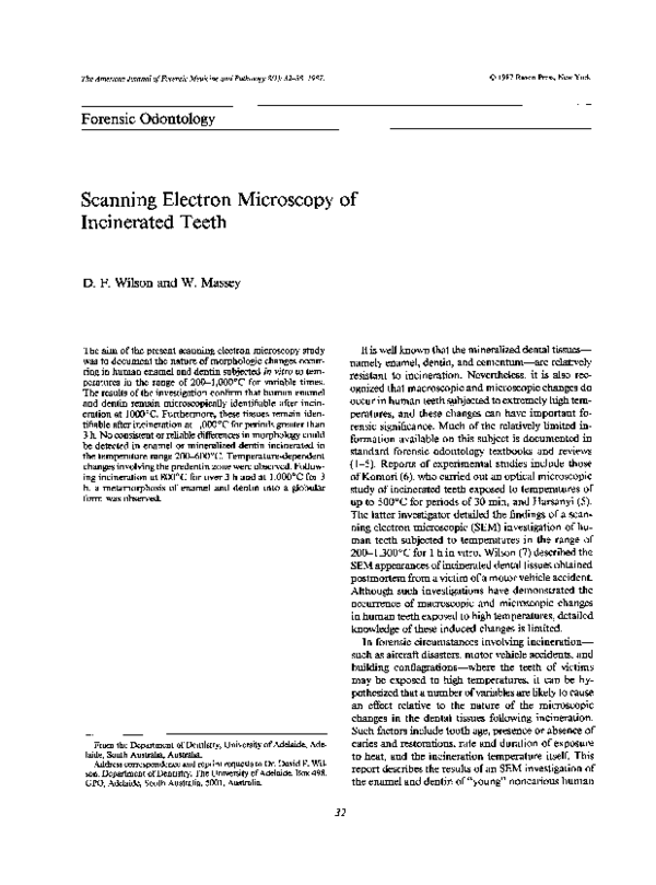 (PDF) Scanning Electron Microscopy of Incinerated Teeth