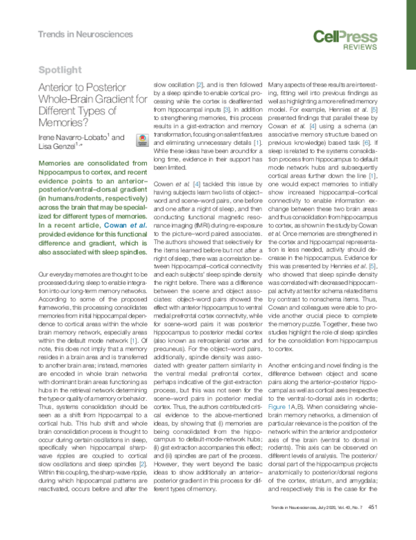 (PDF) Anterior to Posterior Whole-Brain Gradient for Different Types of ...