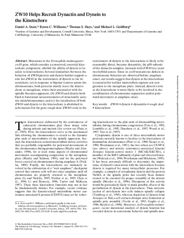 (PDF) ZW10 Helps Recruit Dynactin and Dynein to the Kinetochore