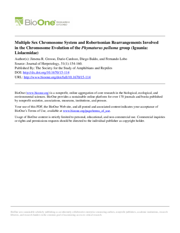 (PDF) Multiple Sex Chromosome System and Robertsonian Rearrangements Involved in the Chromosome ...
