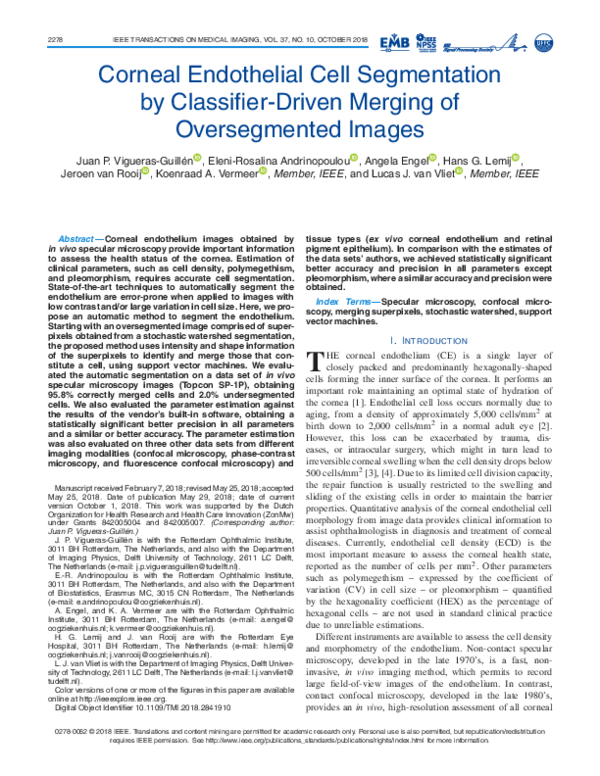 (PDF) Corneal Endothelial Cell Segmentation by Classifier-driven ...