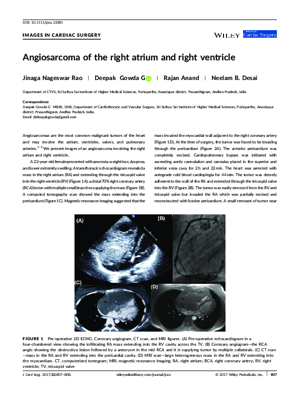 (PDF) Angiosarcoma of the right atrium and right ventricle
