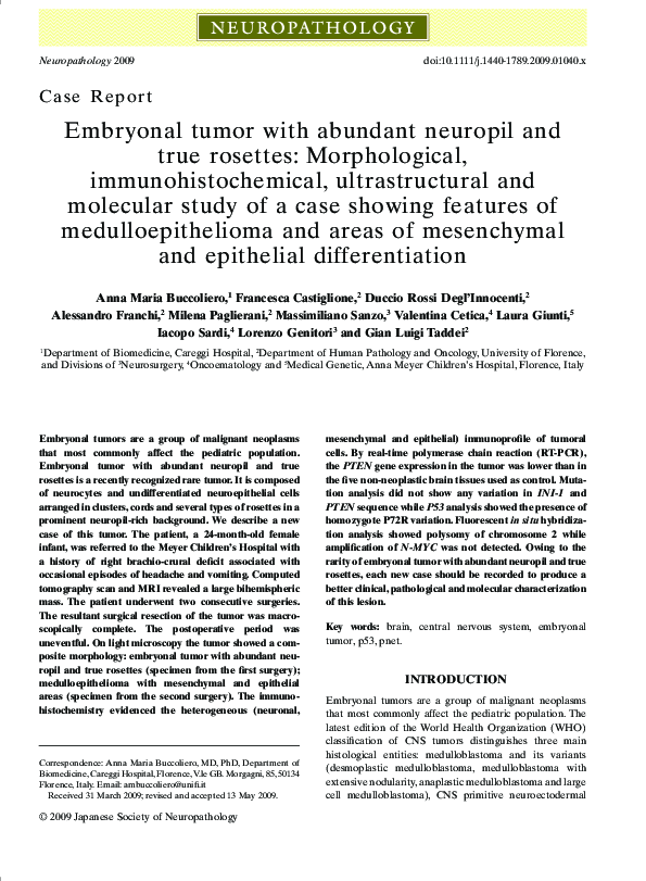 (PDF) Embryonal tumor with abundant neuropil and true rosettes ...